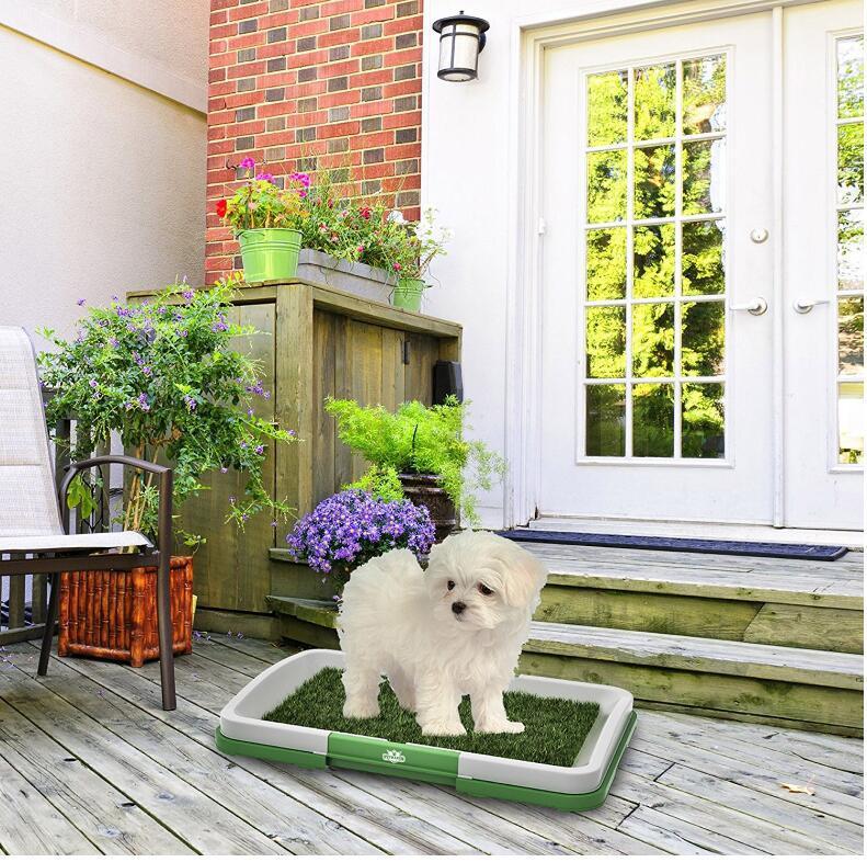 Flat Pet Toilet Dog Potty With Lawn Trumpet – Sochenda